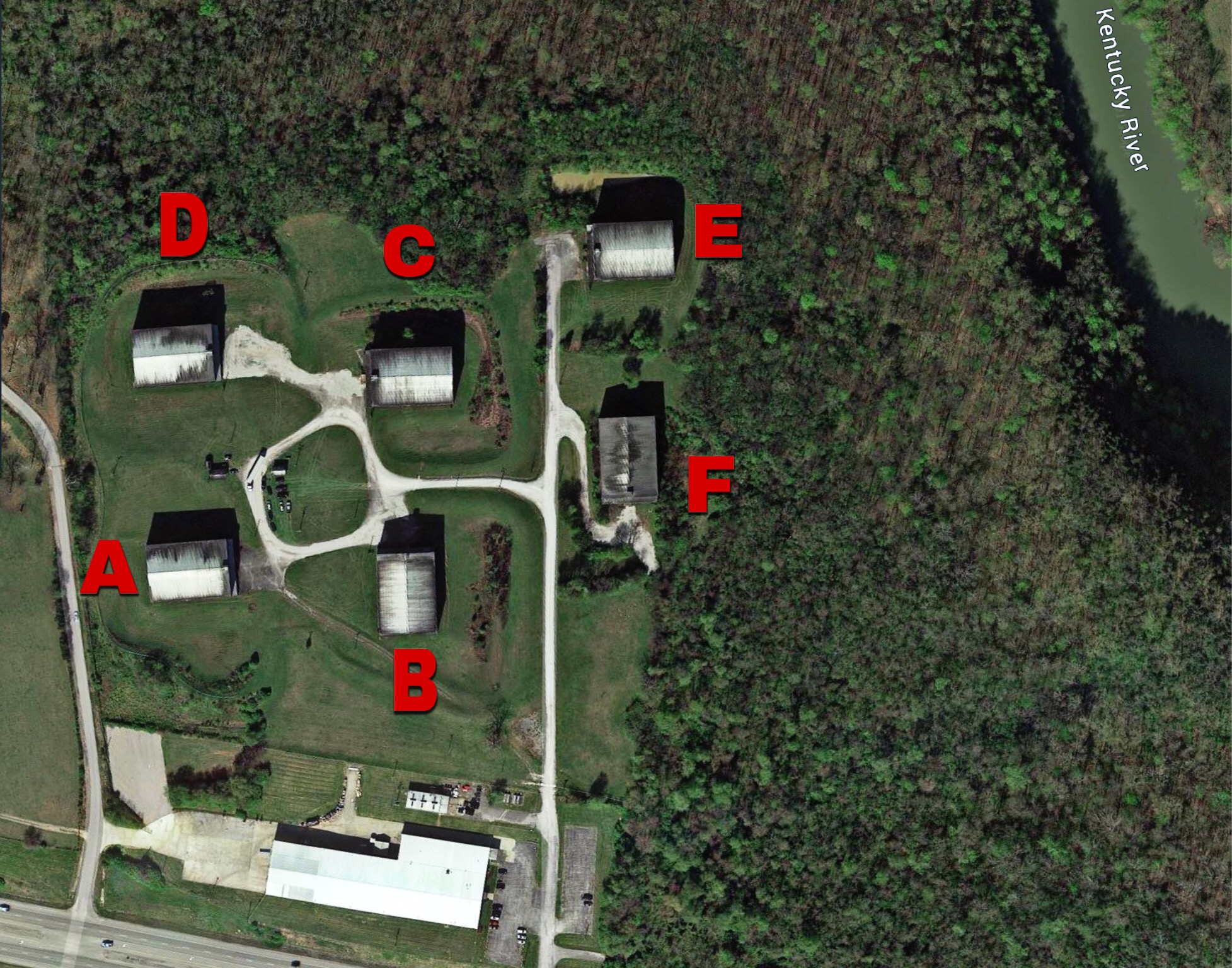 Wild Turkey Campus Comparison – Rare Bird 101