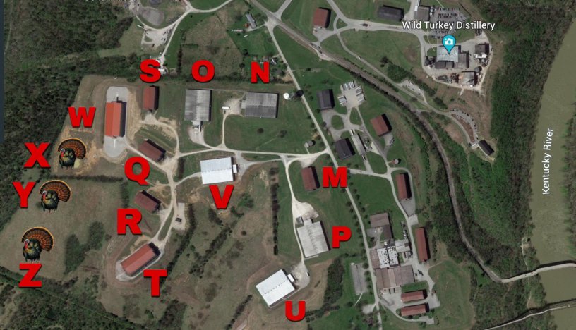 Wild Turkey Campus Comparison – Rare Bird 101